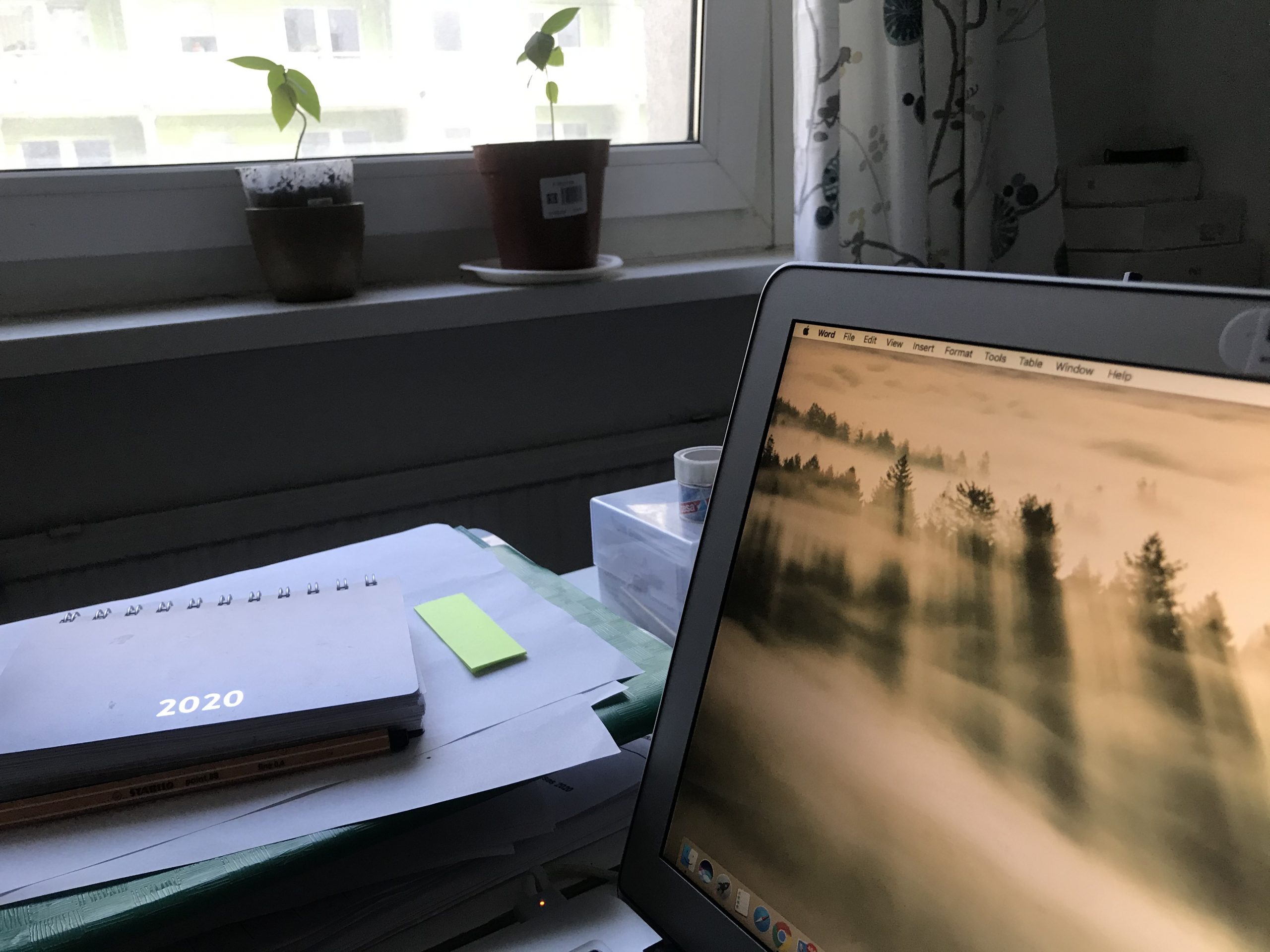 Lucia Conti - il Mitte